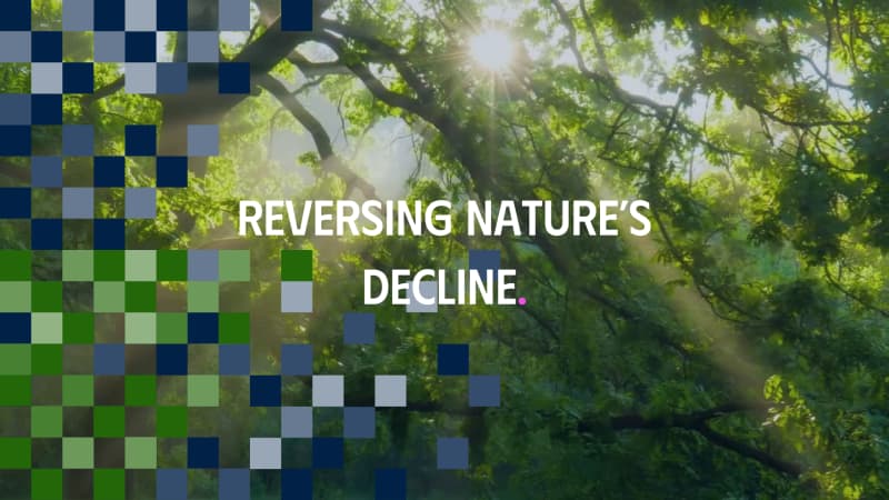Reversing nature's decline